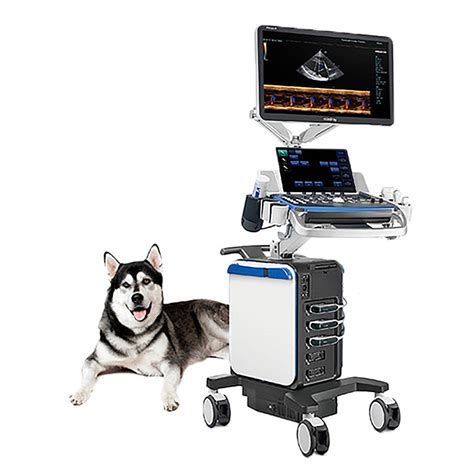 Ultrasonidos De Gabinete Veterinarios Hergom Medical