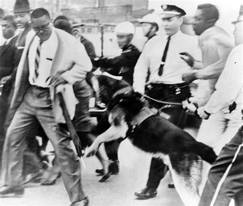 Police Dog Attacking