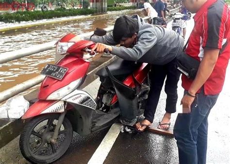 7 Peluang Usaha Budidaya Ikan Air Tawar Yang Menguntungkan Lendoot