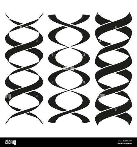 Dna Strand Design Spiral Helix Pattern Genetic Curve Structure Vector Biological Form Stock