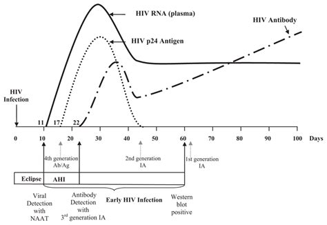 Hiv Testing Accuracy Timeline At Oscar Loveless Blog