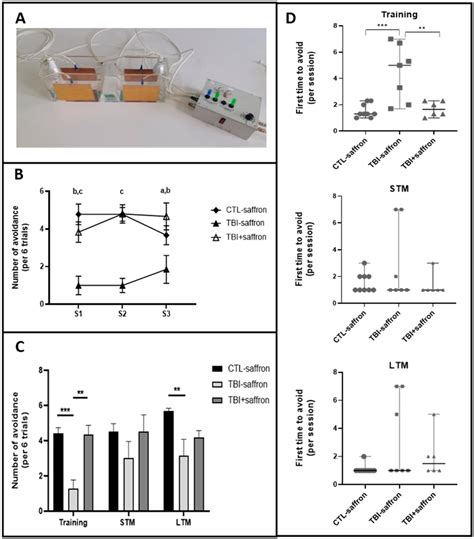 A Dorsal And B Lateral View Of An Adult Zebrafish Brain