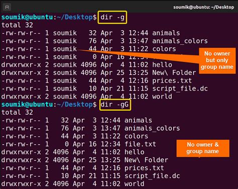 The “dir” Command In Linux 15 Practical Use Cases Linuxsimply