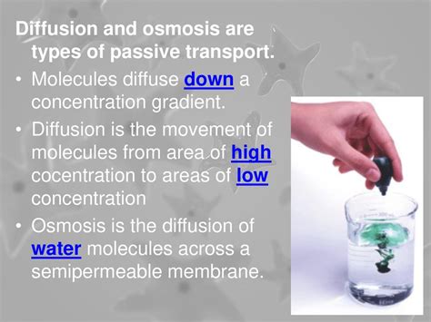 CELL STRUCTURE AND FUNCTION - ppt download