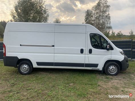 Wynajem BUS samochód dostawczy wypożyczalnia Busów Grójec Sprzedajemy pl