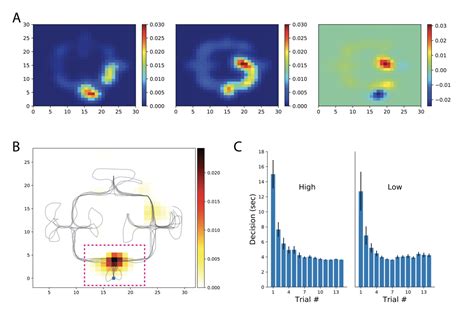Computational And Cognitive Neuroscience Specs Lab