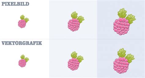 Pixel Vs Vektor Der Unterschied Zwischen Pixelbild Und Vektorgrafik