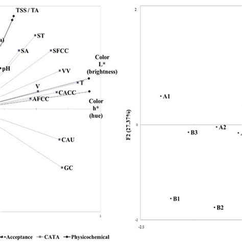 Multiple Factorial Analysis Associating The Cata Test Data For The