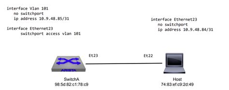Arp Entry Creation Aging And Refresh