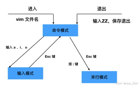 linux vim 使用 显示行号、替换、查找、多文件打开等骚操作 vim如何打开文件显示行 csdn博客