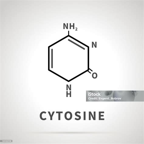 Struktur Kimia Cytosine Salah Satu Dari Empat Inti Utama Ikon Hitam