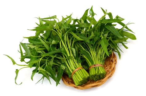 Ketahui 10 Manfaat Makan Kangkung Untuk Kecantikan Dan Kesehatan