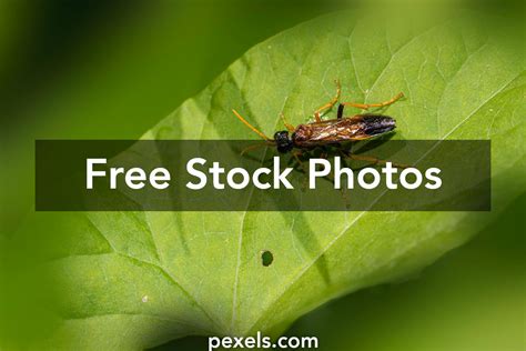 Asset Lifecycle Photos Download The Best Free Asset Lifecycle Stock
