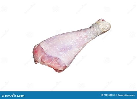Uncooked Turkey Legs Drumsticks Raw Poultry Meat Isolated On White