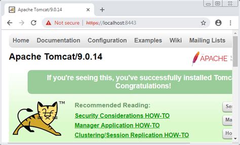 install ssl certificate for tomcat server