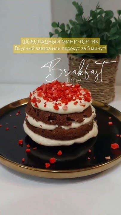 ШОКОЛАДНЫЙ МИНИ ТОРТИК Вкусный завтра или перекус за 5 минут рецепт в описании ппрецепты