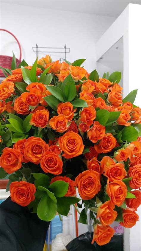 Beautiful Orange Mini Roses Stock Image Image Of Petal Beautiful