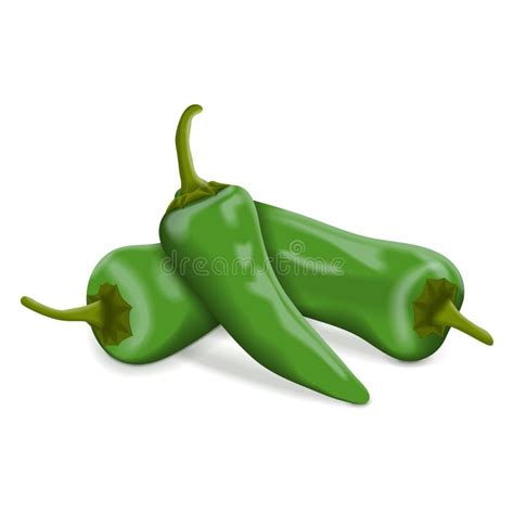 Group Of Green Patty Pan Squass Cartoon Style Stock Vector