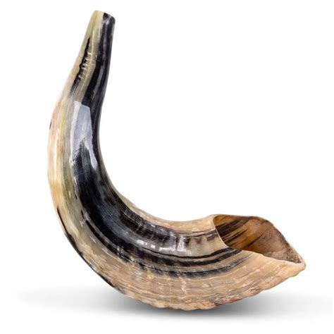 Shofar Organology Musical Instruments Encyclopedia