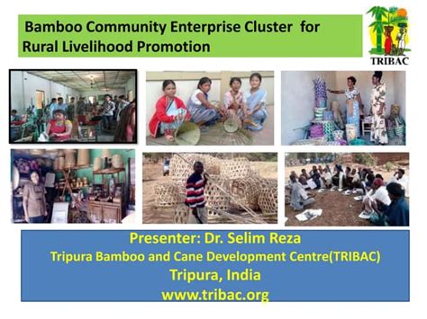 Bamboo Cluster Development Pdf