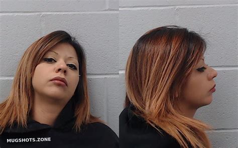 GONZALES BRITTANY NICOLE Hays County Mugshots Zone