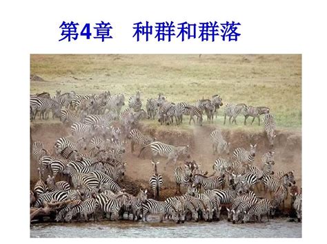 4 1 种群的特征 word文档在线阅读与下载 无忧文档
