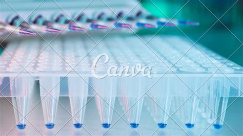 Tools For Dna Analysis Photos By Canva