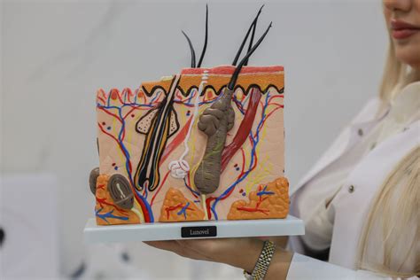 Dermaplane Pro Lunovel