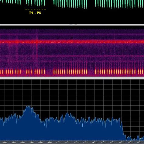 Spectrogram A Oscillogram B And Power Spectrum C Of The Call Of Download Scientific