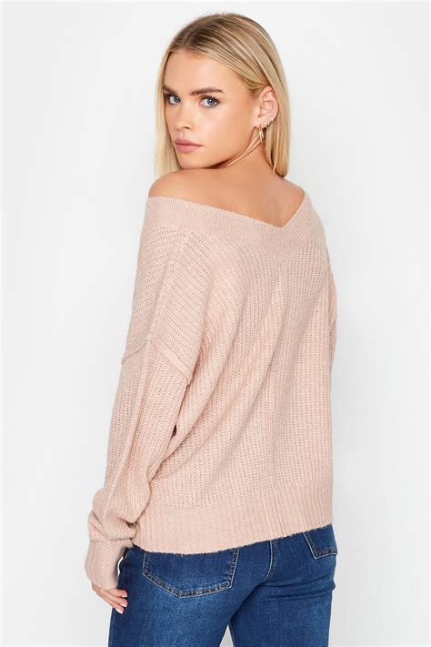 Petite Blush Pink V Neck Jumper PixieGirl