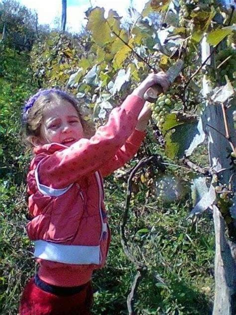 ნატო ლომთაძე