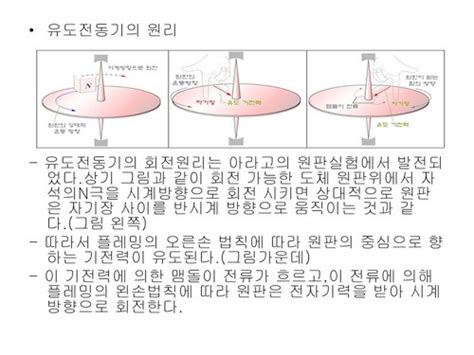 전동기의원리 및 특성