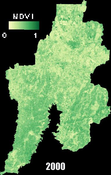 Github Anddewiindvi Lst Timeseries Anm Ndvi And Lst Timeseries Animation