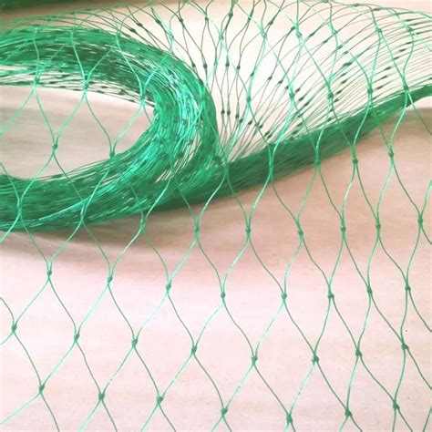 Nylon Anti Bird Net For Protection From Birds At Rs 10 Sq Ft In