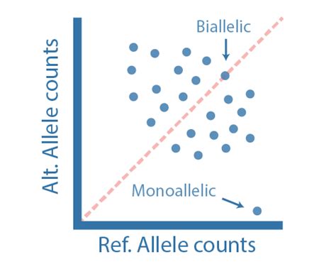 Allelic Expression Analysis
