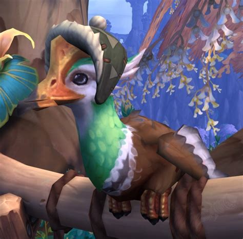Duck Npc World Of Warcraft