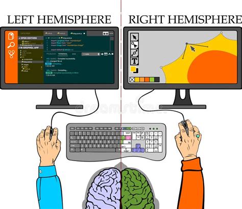 Works Of Right And Left Brain Hemispheres Vector Illustration Stock