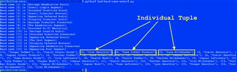 Python And Mariadb Database Programming Part Two