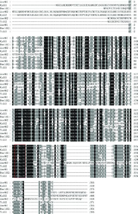 Comparison Of Amino Acid Sequences Of Cpak1 And Cpak2 With Other