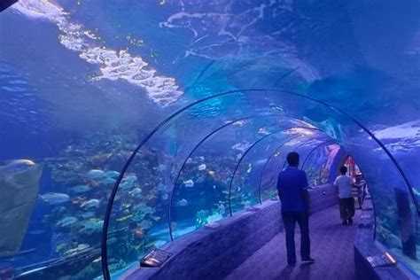 北海海底世界表演节目时间 旅泊网