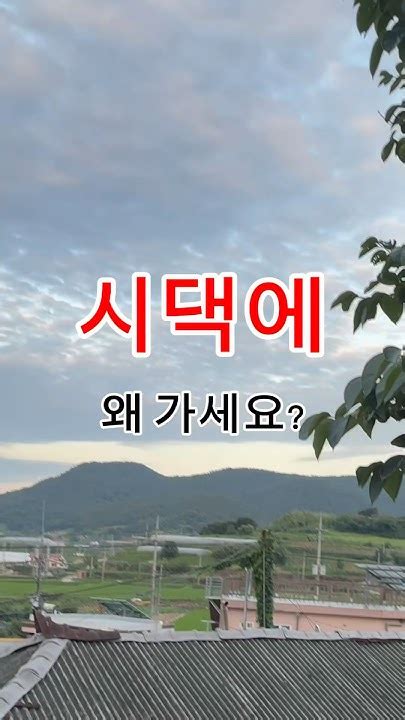 시댁에 왜 가야하나요 시골집 마당있는집 Youtube
