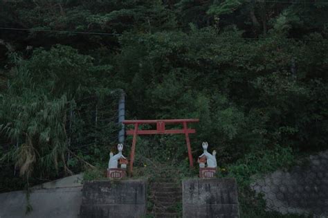 Daum 카페