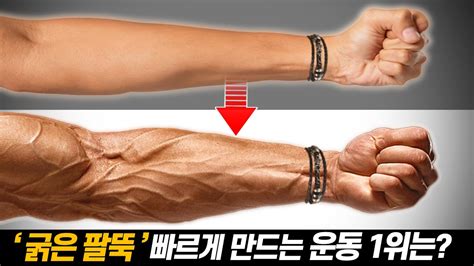 과학적으로 팔뚝전완근 가장 빠르게 키워주는 운동 1위는 Youtube