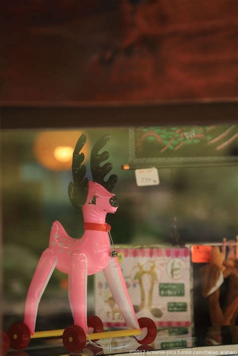 Deer On Tumblr