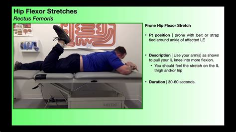 Therex Hip Flexor Stretches Rectus Femoris Iliopsoas Youtube