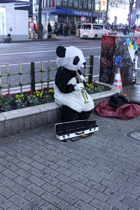 Pandas Play Jazz Pandas Playing Japan Photography