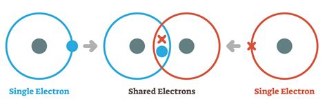 Covalent Bond Formation Edexcel Gcse Chemistry Revision