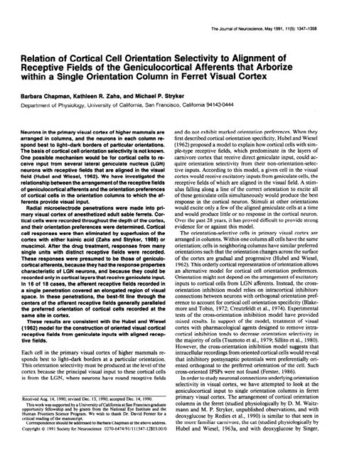 Pdf Relation Of Cortical Cell Orientation Selectivity To Alignment Of