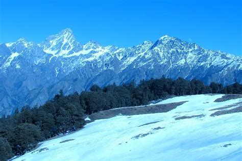 Offbeat Placeshomestayskwani Bugyal Trek Places To Visit Auli