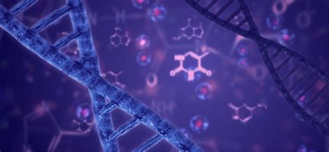 10 Common Techniques For Nucleic Acid Research Goldbio